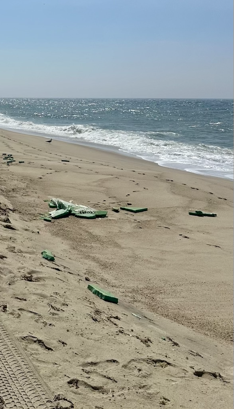 Thomas Catenacci, Author at